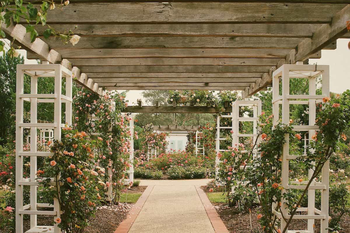 What is a Pergola? History, Uses & More by Summerhouse24